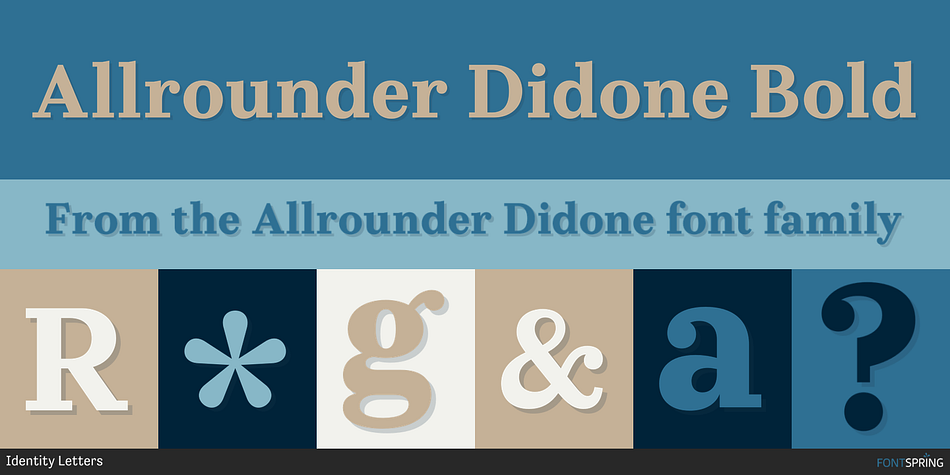 Allrounder Didone Bold Font