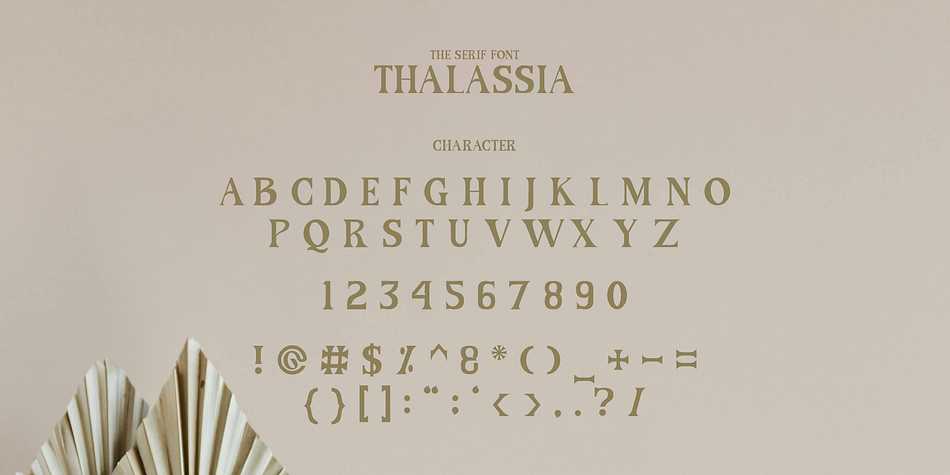 Thalassia Font