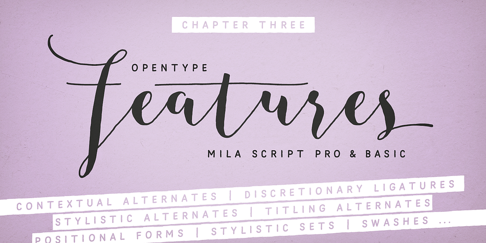 Mila Script Pro Font
