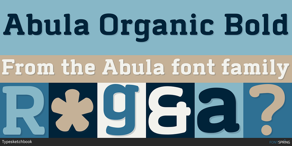 Abula Organic Bold Font