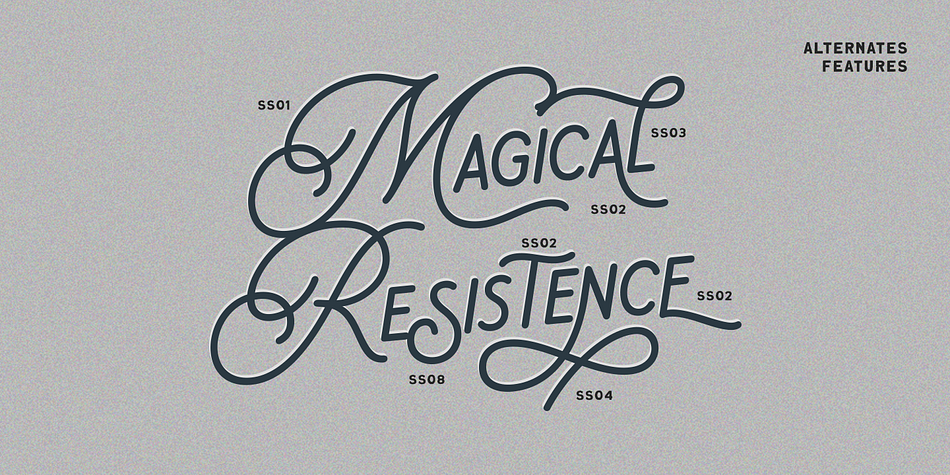 Daily Magnolines Font