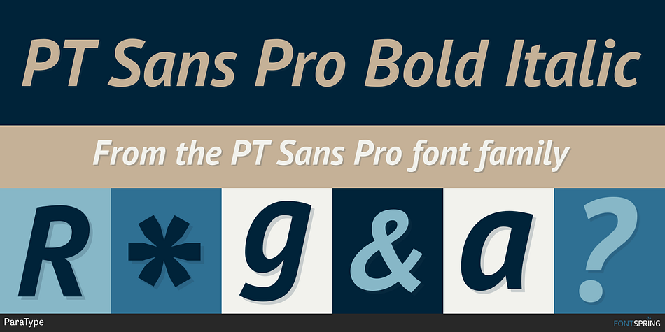 PT Sans Pro Bold Italic Font