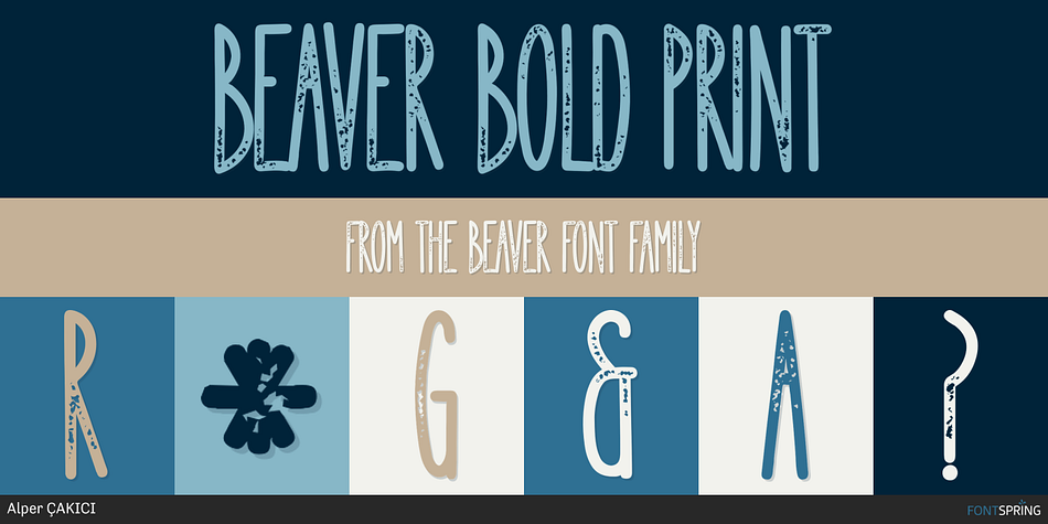 Beaver Bold Print Font