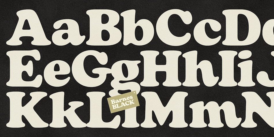 Barnes Font
