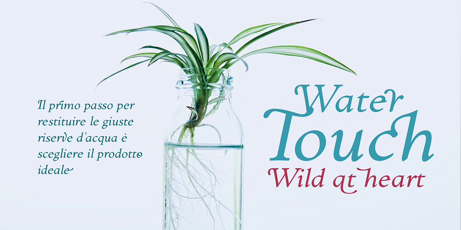 ET Jenson Swash Font