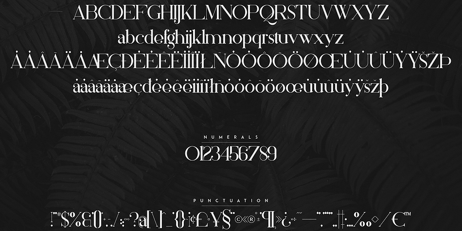 Silver Queen Font | Fontspring