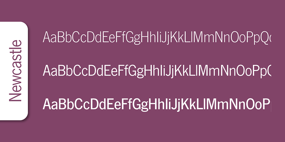Newcastle Pro Font
