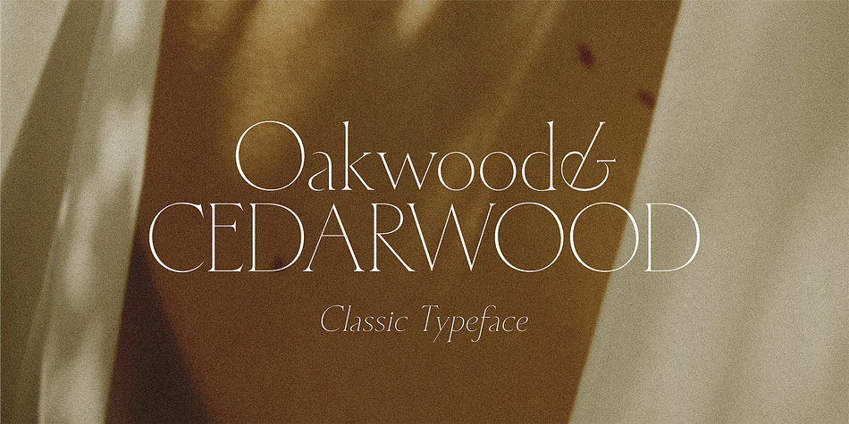 Cedarwood Font