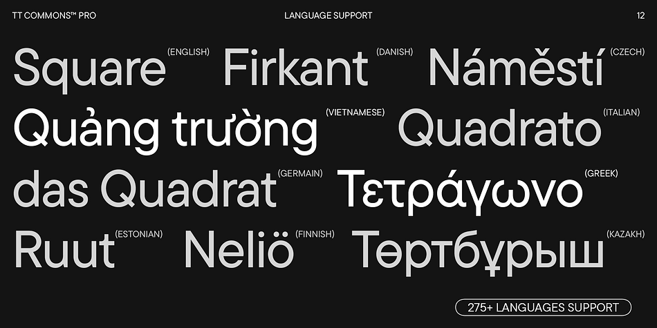 TT Commons Pro Font