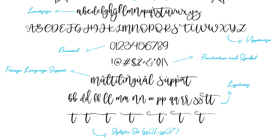 Mollusca Font