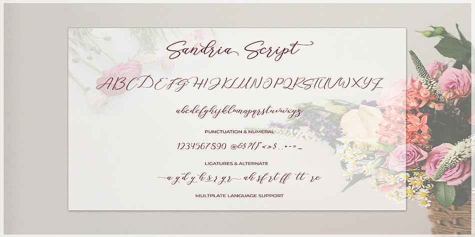 Sandria Script Font