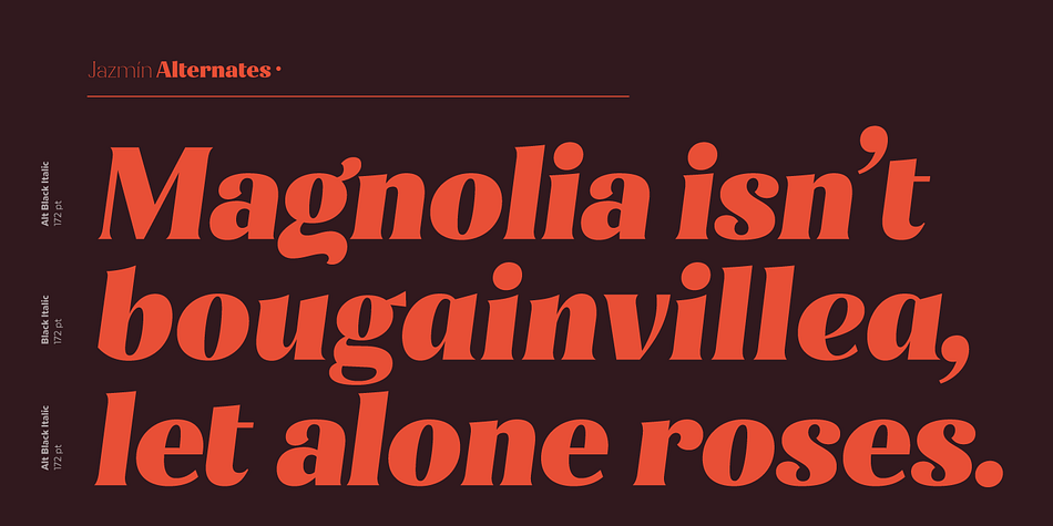 Jazmín Font