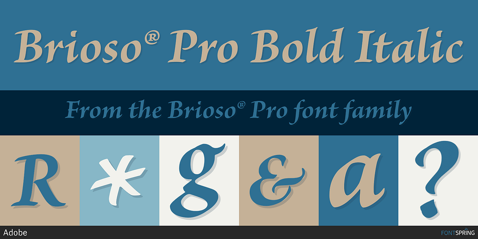 Brioso® Pro Essential Font