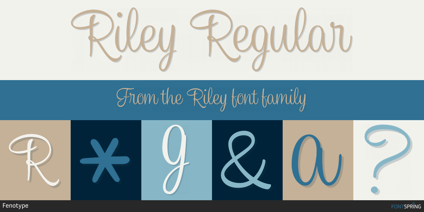 Fonts similar to Riley