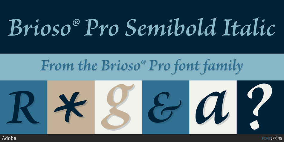 Brioso® Pro Essential Font