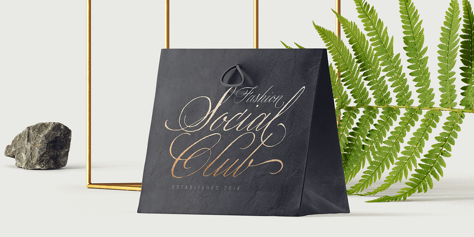 Wordless Script Font