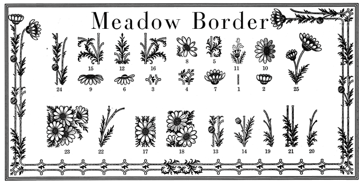 Thistle Borders Font