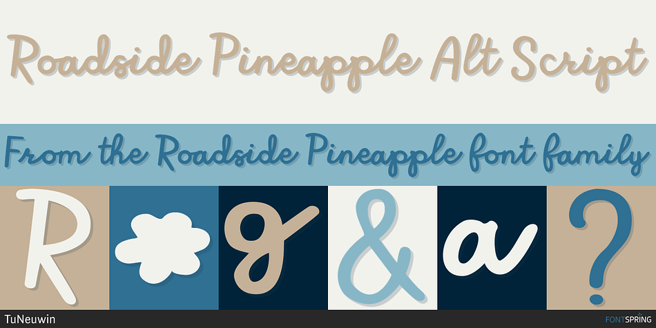 Roadside Pineapple Alt Script Font