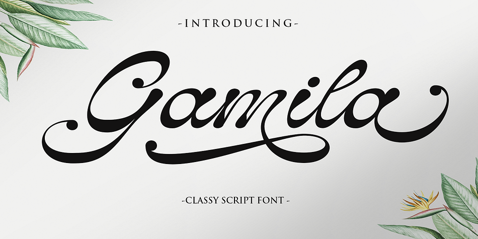 Gamila Regular Font