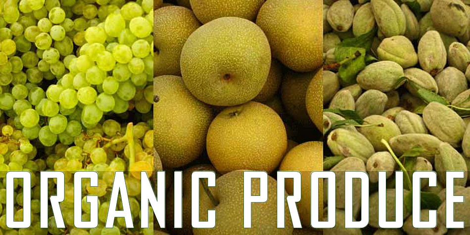 Agency Gothic CT Font