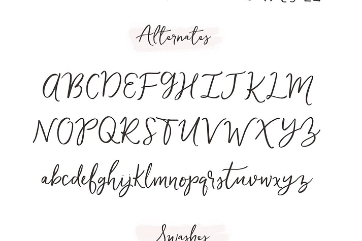 Ditto Font