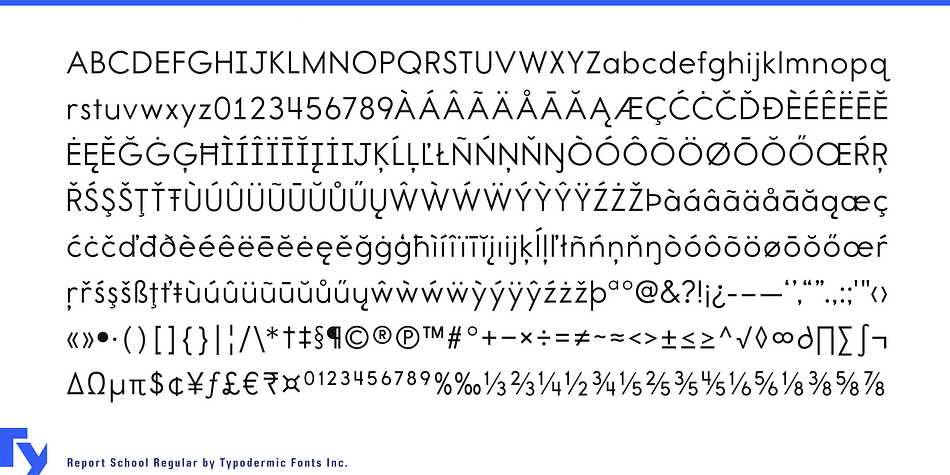 Report School Font Family by Typodermic Fonts Inc.