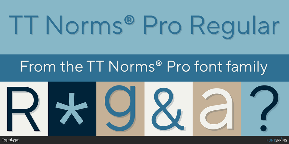 TT Norms® Pro Regular Font