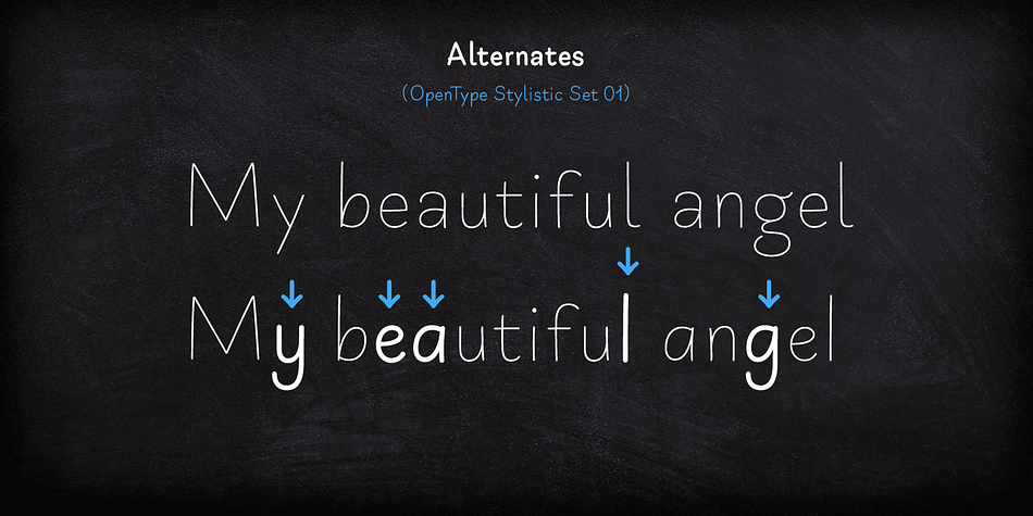 Primaria Font