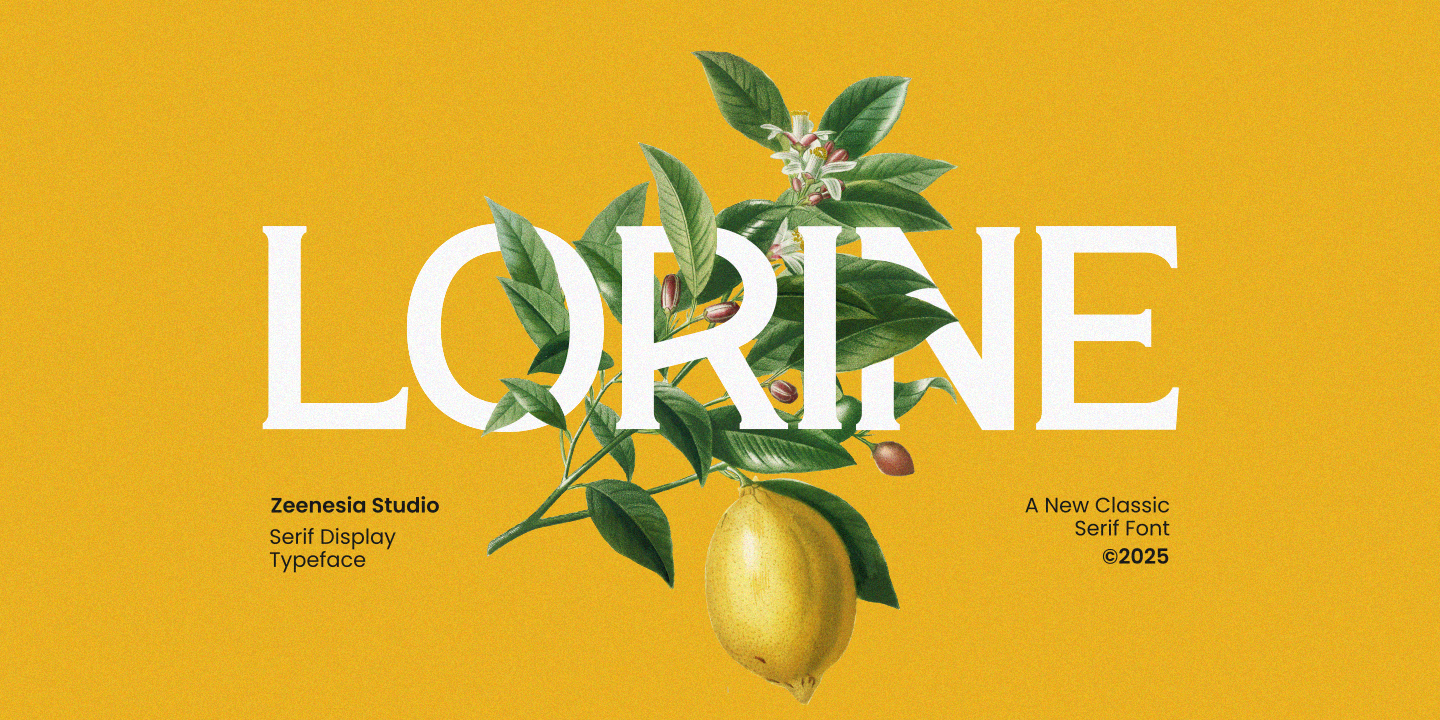 Lorine Font