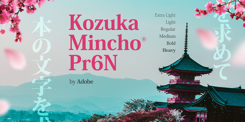 Kozuka Mincho® Pr6N Font