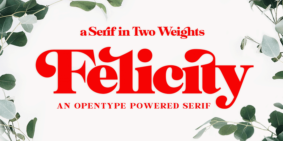 Felicity Font