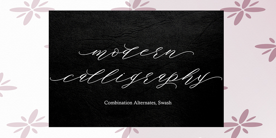 Authentic Script Font Family by Area Type Studio - Fontspring