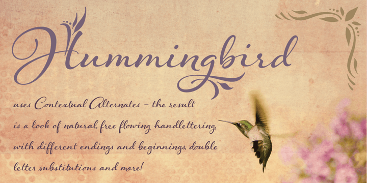 Hummingbird Font