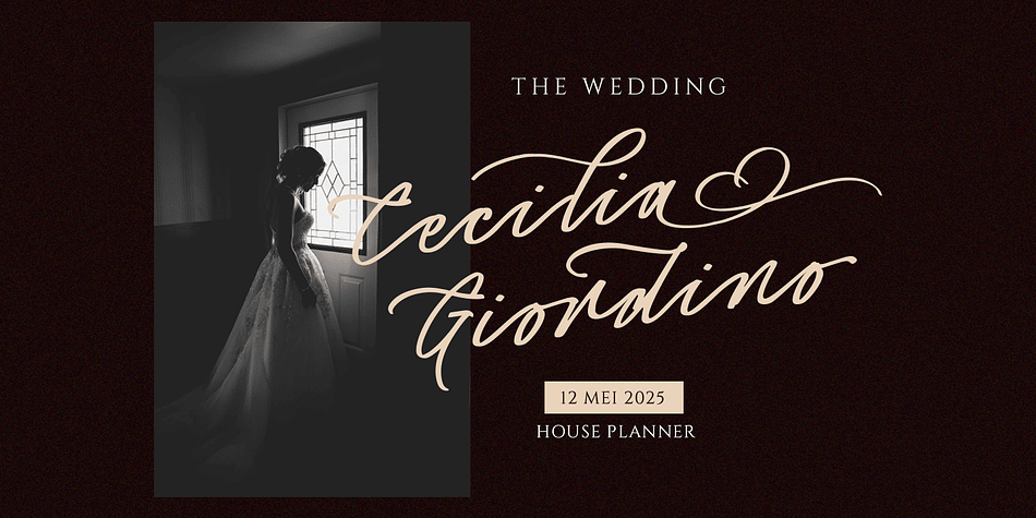 Captivate Script Font