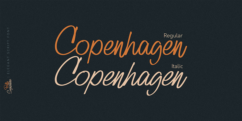 Billy Signature Font