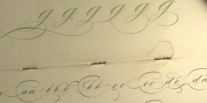 Burgues Script Font