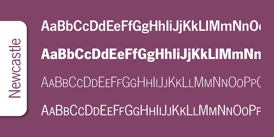 Newcastle Pro Font