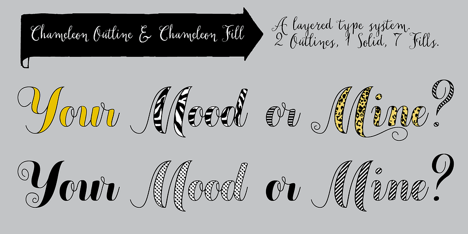 Chameleon Font