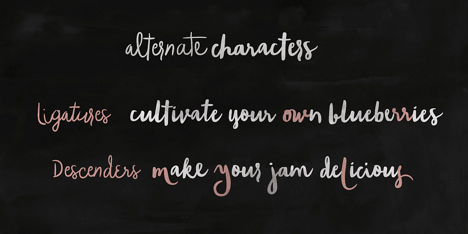 Blog Script Font