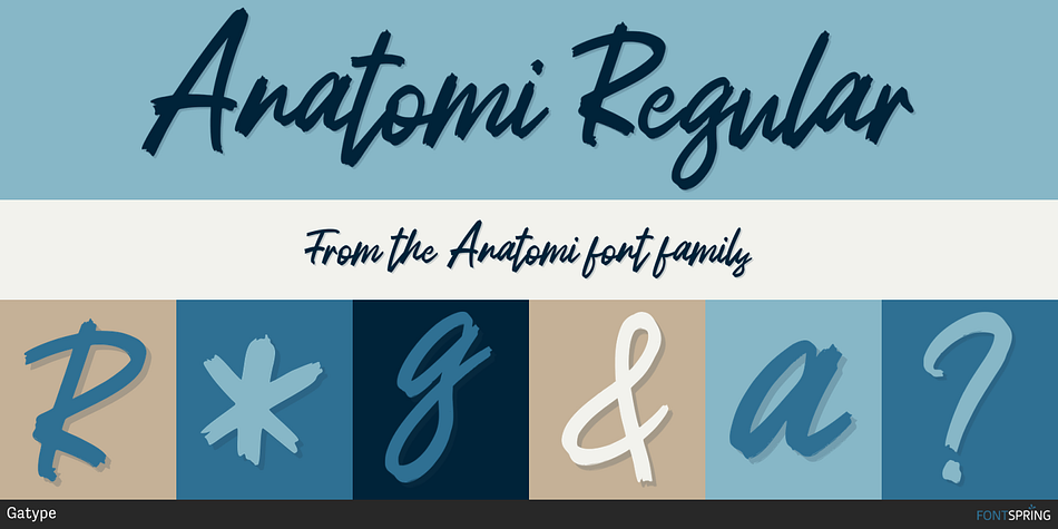 Anatomi Regular Font