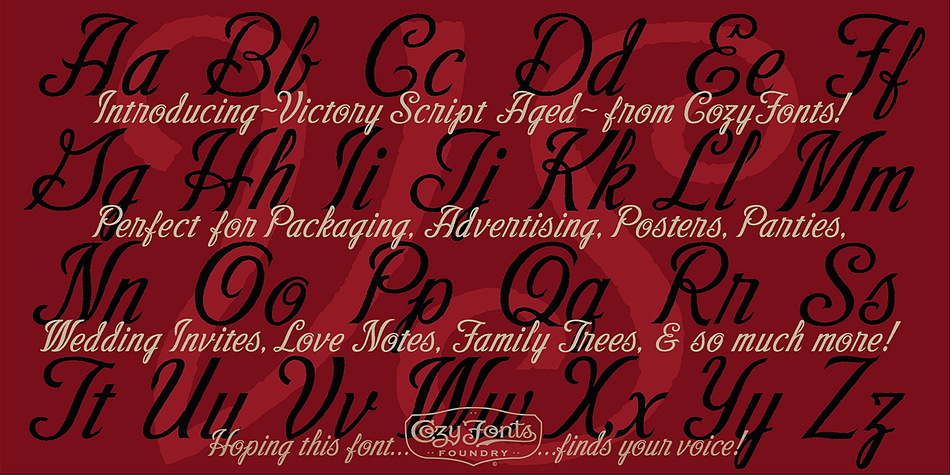 Victory Script Font