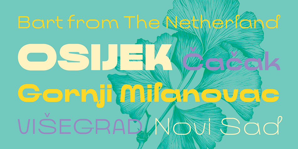 Nowina Font