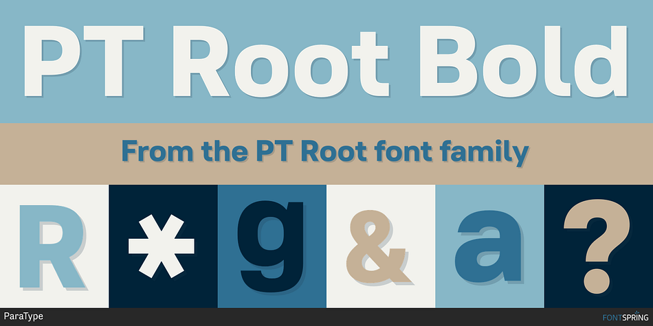 PT Root Bold Font