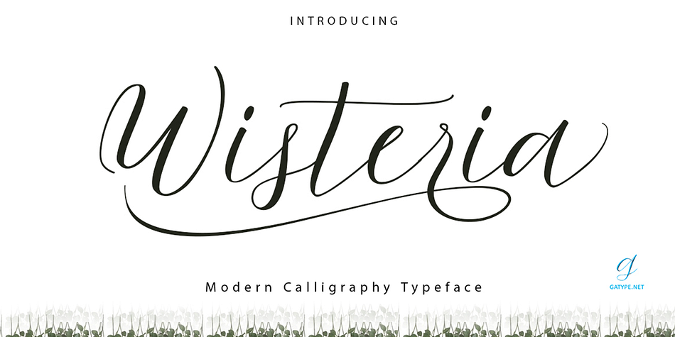 Wisteria Script Font