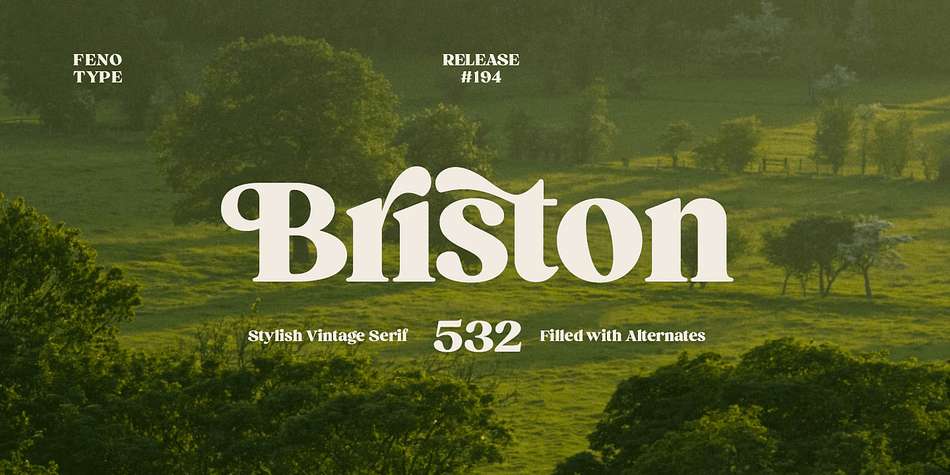 Briston Font | Fontspring