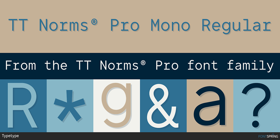 TT Norms® Pro Mono Regular Font