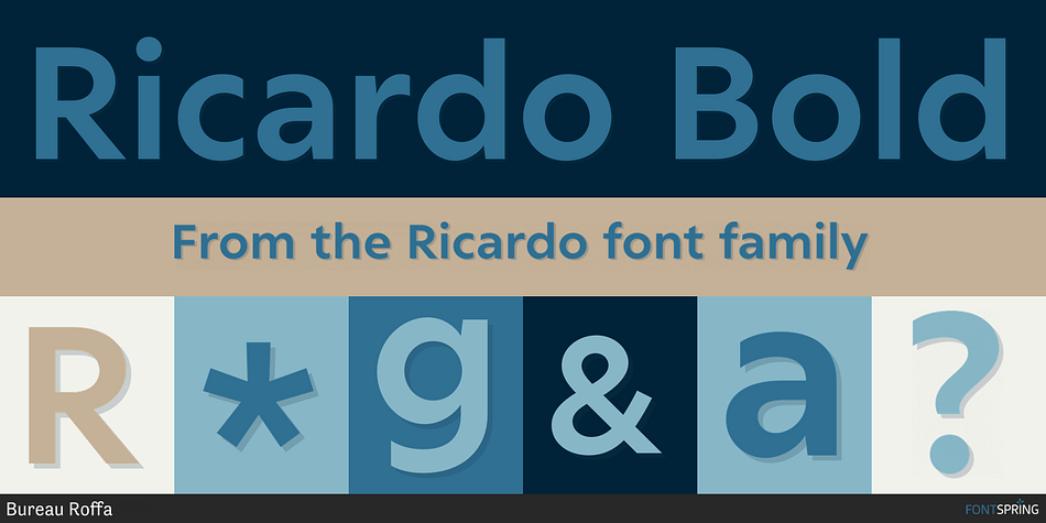 Ricardo Bold Font