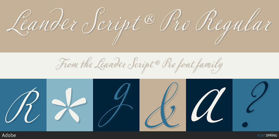Leander Script® Pro Font