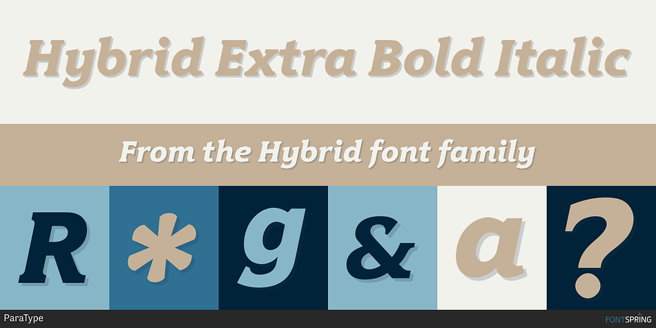 Hybrid Font