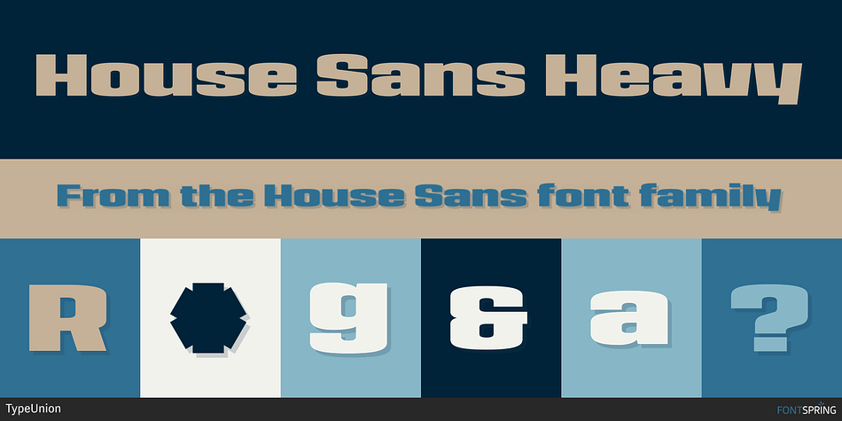 House Sans Heavy Font